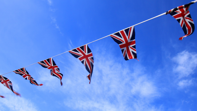 Jak Sprawdzi Settled Status W UK Pol Plan Insurance